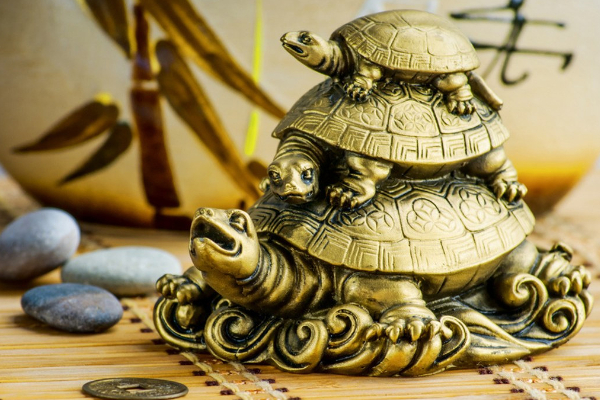 ஆமை புகுந்த வீட்டில் இந்த நன்மையும் நடக்குமாம்! - மனிதன்