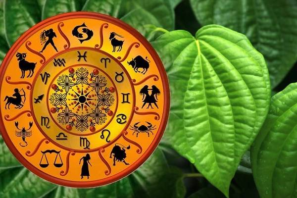 12 ராசிகளுக்குமான வெற்றிலை பரிகாரம்: உங்க ராசிக்கான பரிகாரம் தெரியுமா ...