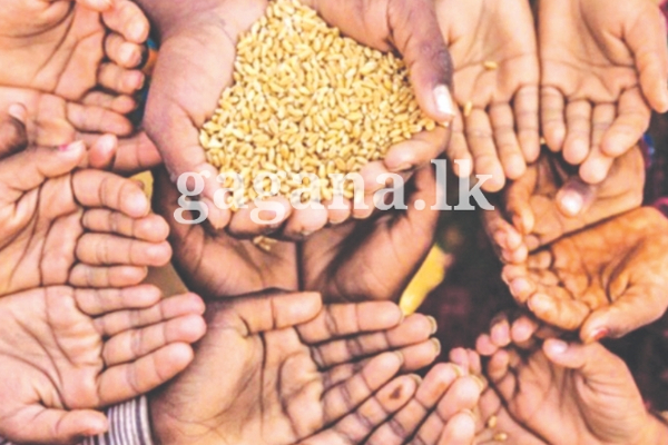 මෙරට ආහාර සම්බන්ධයෙන් නවතම සමීක්ෂණයකින් හෙලි වූ දේ.. - ගගන