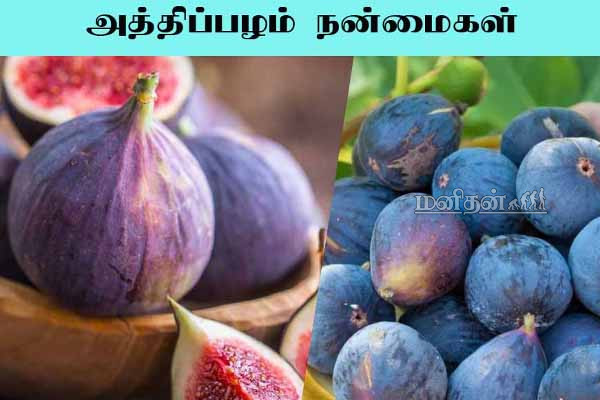 தினமும் 2 அத்திப்பழம் சாப்பிட்டால் உடலில் நடக்கும் மாற்றங்கள் என்னென்ன?