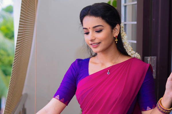 Pandian Lavanya about casting couch