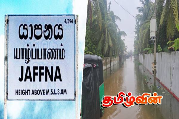 யாழ்.மாவட்டத்தினுடைய அனர்த்த நிலவரம்! வெளியான அறிக்கை.. - தமிழ்வின்