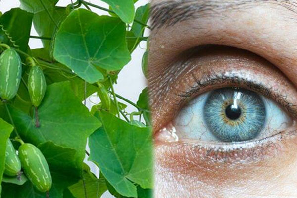 கண் பார்வை மங்குகிறதா? இதை ட்ரை பண்ணுங்கள்! - லங்காசிறி நியூஸ்