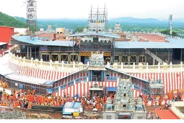 அவசியம் தெரிஞ்சுக்கோங்க! -ஆடி கிருத்திகை முன்னிட்டு பக்தர்களுக்கு ...