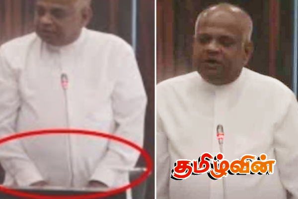 வரலாற்றில் இடம்பிடித்த தேசிய மக்கள் சக்தியின் எம்பி - தமிழ்வின்