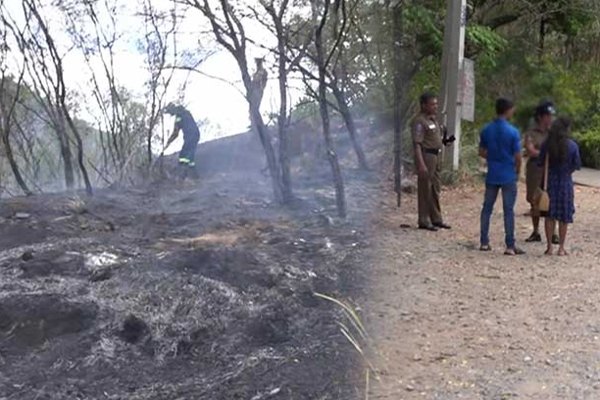 අක්කර 3ක් ගිනිබත් කළ යුවළගේ ගිනි කූර - ගගන