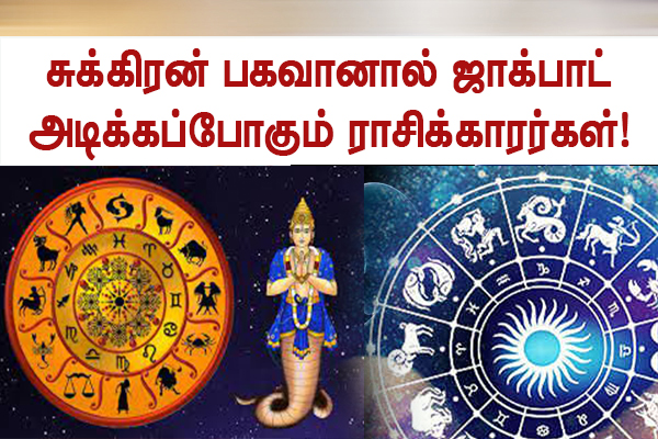 சுக்கிரன் பகவானால் ஜாக்பாட் அடிக்கப்போகும் ராசிக்காரர்கள்