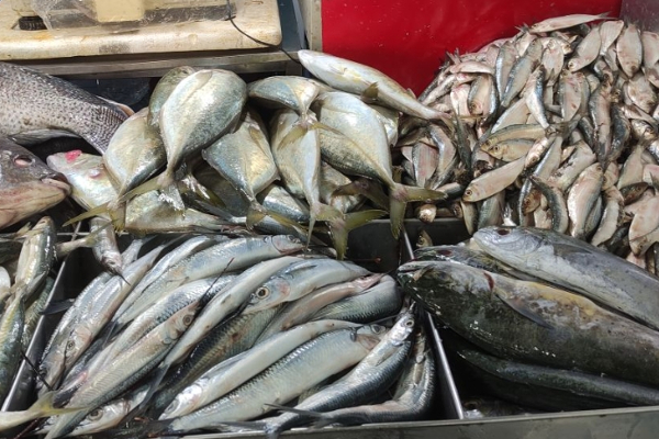 මාළු මිලෙහි එකවර සිදු වූ වෙනස.. - ගගන