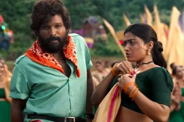 Pushpa premiere on television soon