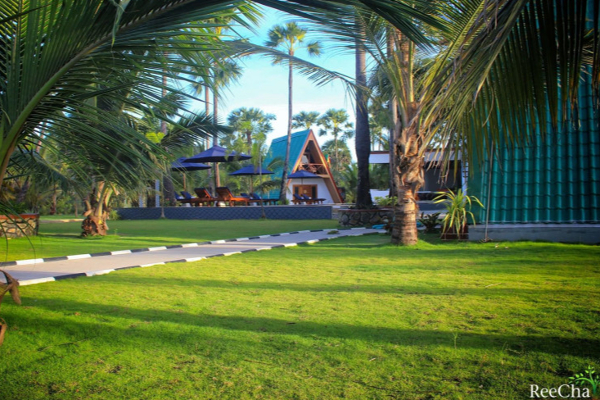 ReeCha Organic Farm இன் மற்றுமொரு வியப்பு ; என்னெவென்று அறிய ஆவலா ...