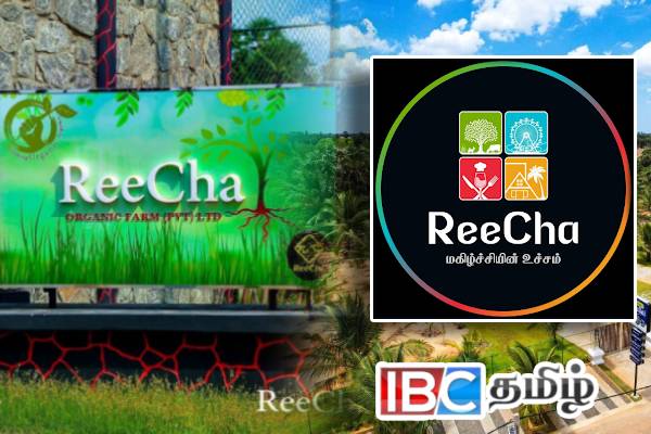 பார்வையாளர்களுக்காக றீ(ச்)ஷா அறிமுகப்படுத்தியுள்ள ReeCha App - ஐபிசி தமிழ்