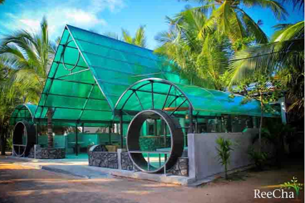 வெளிநாடுகளில் மட்டும்தான் பண்ணை உள்ளாதா? ஏன் நம் நாட்டில் இல்லையா ...