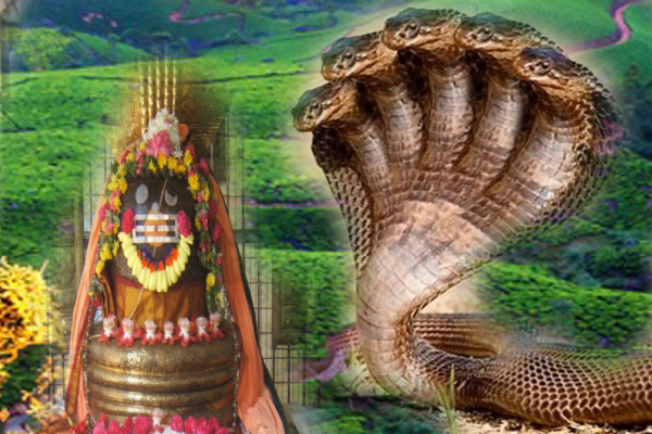 5 தலை நாகம் பாதுகாக்கும் சிவன் கோயில்; ஆச்சர்யப்படவைத்த தகவல்! - ஜே.வி ...