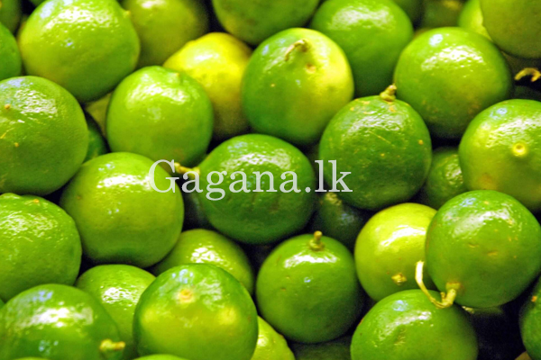 දෙහි නැග්ග නැගිල්ලක්. - ඇස් උඩ යන දෙහි මිල. - ගගන