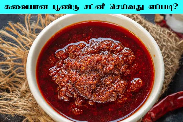 Garlic Chutney: இட்லி, தோசைக்கு சுவையான பூண்டு சட்னி! எப்படி ...