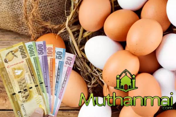 முட்டை விலை குறித்து வெளியான தகவல் - Muthanmai