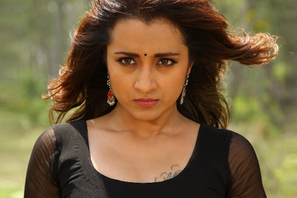 கெட்ட குணம் கொண்டவர்கள்... நடிகை த்ரிஷா ஸ்டோரியில் திட்டிய அந்த நபர் இவரா? - மனிதன்