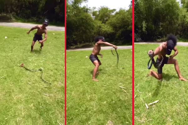 viral video: மின்னல் வேகத்தில் ஓடிய Chicken snake ... விரட்டி பிடித்த ...