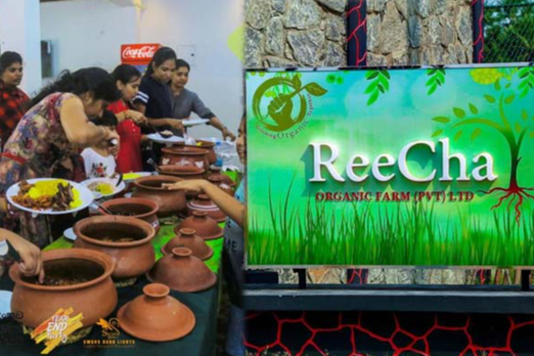 இலங்கையின் சிறந்த சுற்றுலா தளமாக மாறும் Reecha அப்படியென்ன ஸ்பெஷல் 0172