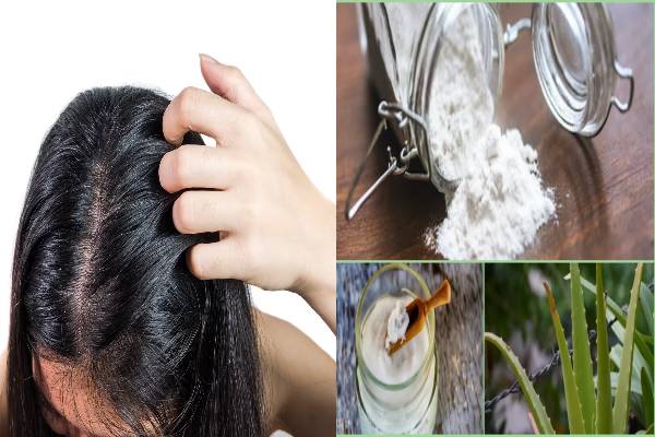 தீராத பொடுகுத் தொல்லையா! இதோ உங்களுக்கான தீர்வு - ஐபிசி தமிழ்