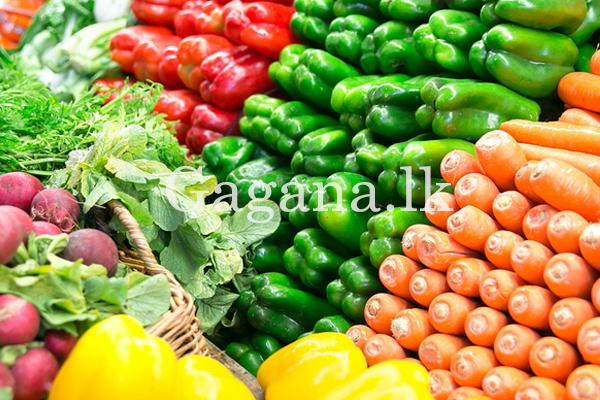 අලුත් වූ එළවලු මිල ගණන්. - ගගන