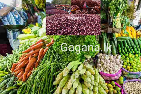 එළවළු මිල ගණන් යළි ඉහළ නගී..නව මිල ගණන් මෙතනින් දැන ගන්න.. - ගගන