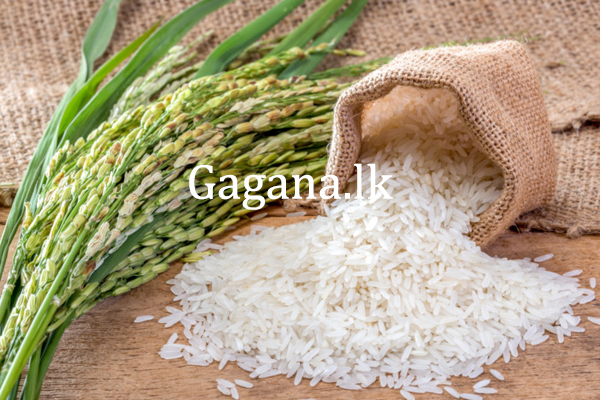 සහල් මෙට්‍රික් ටොන් ලක්ෂ 7ක අතිරික්තයක්. - ගගන