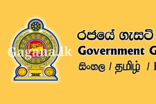 දෙපාර්තමේන්තු දෙකක් ගැන රජය තීරණයක් ගනී. - ගගන