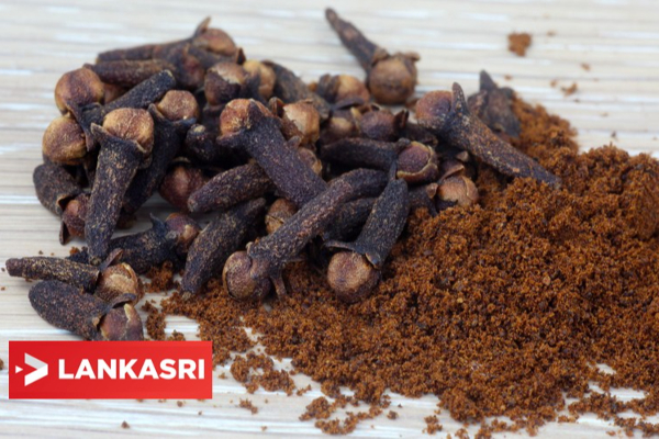 அற்புத மருத்துவ குணங்கள் கொண்ட கிராம்பு! பல்வலி முதல் தலைவலி வரை சரி ...