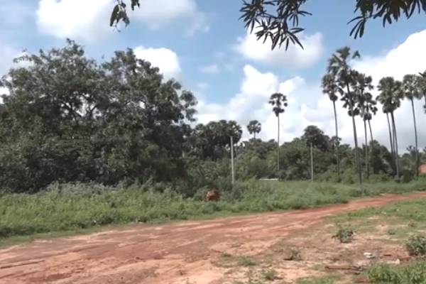 யாழில் பிரபலம் அடைந்த எழு ஆலயங்களை கொண்ட மிக பெரிய ஊர் பற்றிய காணொளி ...