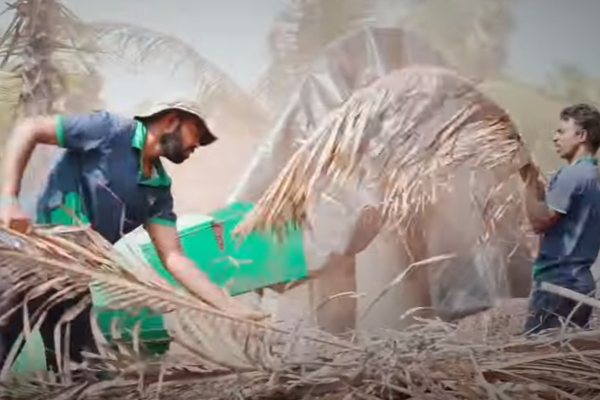 வருங்கால சந்ததிகளை பாதுகாக்க இயற்கை பசளை தயாரிக்கும் Reecha Organic Farm!(Video) - ஜே.வி.பி நியூஸ்