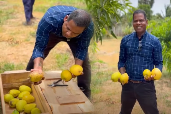 வெளிநாடுகளில் மட்டுமா? நம் Reecha இலும் பார்ப்பவர்களை நாவூறவைக்கும் ...