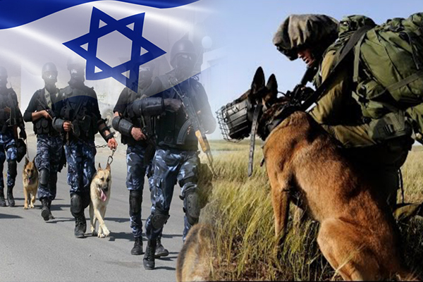 காசாவுக்குள் களமிறங்கும் நாய்கள்: இஸ்ரேல் கையாளும் புதிய உத்தி(Video ...