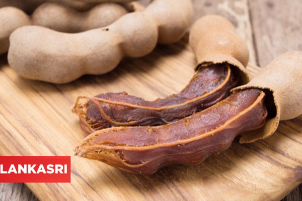 மருத்துவ குணங்கள் நிறைந்த புளி! இப்படி சேர்த்து கொண்டால் நன்மைகள் ...