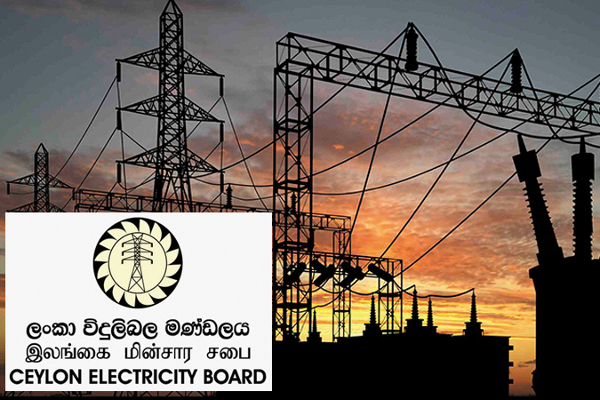 அரச நிறுவனங்கள் இலங்கை மின்சார சபைக்கு 250 கோடி ரூபா கடன் - தமிழ்வின்