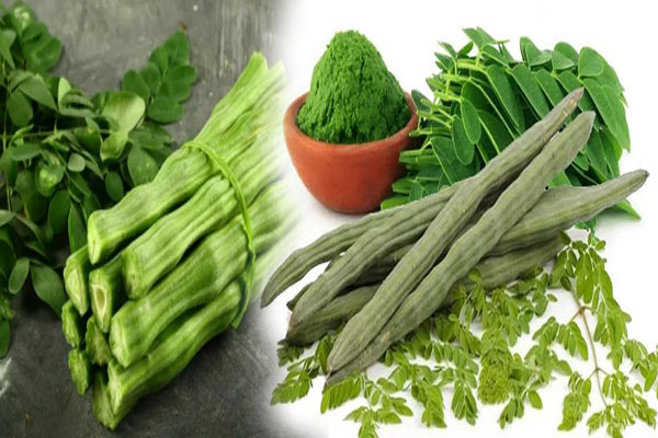 முருங்கைக்காயின் மகிமை! எதுக்கெல்லாம் நல்லது தெரியுமா? - மனிதன்