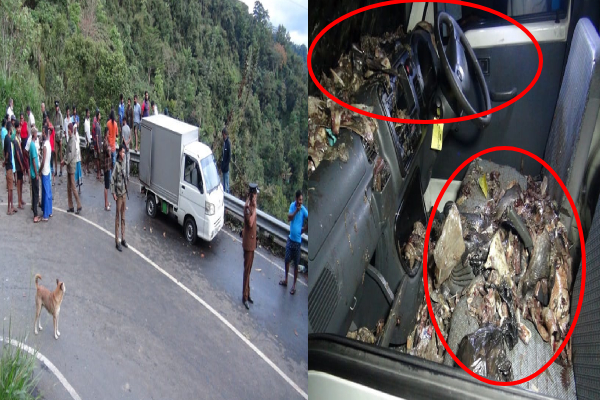 மீன் கழிவுகளை வீசி சென்ற நபர் ; தக்க பதிலடி கொடுத்த மக்கள் - ஜே.வி.பி ...