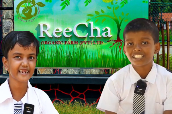 இதுவல்லவா உல்லாச உலகம்; ReeCha Organic Farm இல் குதூகலித்த மாணவர்கள் ...