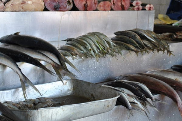 මාළු මිල ගණන්වල එකවරම වූ වෙනස - නව මිල ගණන් දැනගැනීමට මෙතනින් පිවිසෙන්න ...