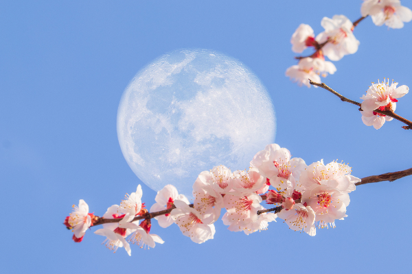 Flower Moon என்று அழைக்கப்படும் இன்றைய பௌர்ணமி... சில சுவாரஸ்ய தகவல்கள் ...