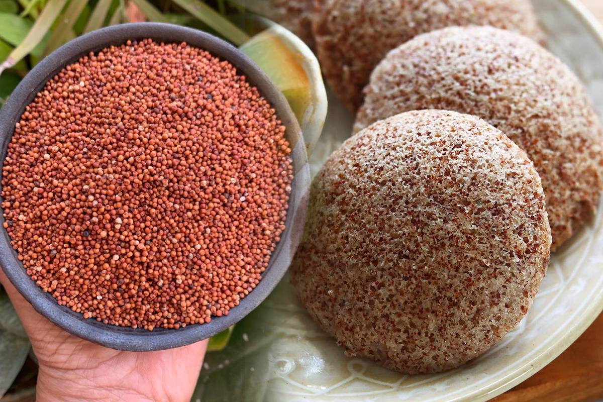 உடல் எடையை குறைக்க உதவும் ராகி இட்லி.., எப்படி செய்வது? - லங்காசிறி நியூஸ்