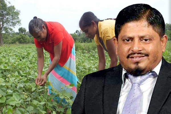 கிராமிய விவசாயிகளுக்கு தானியம் மற்றும் சந்தை வாய்ப்பினை பெற்றுக் ...