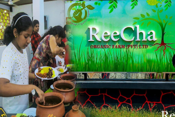இயற்கை விவசாயத்தில் அசத்தும் ReeCha Organic Farm! (Video) - ஜே.வி.பி நியூஸ்