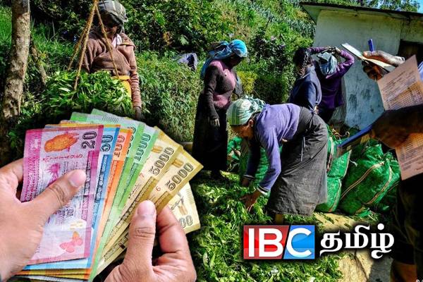 பெருந்தோட்ட தொழிலாளர் வேதன உயர்வு - அரச தரப்பு வெளியிட்ட தகவல் - ஐபிசி ...
